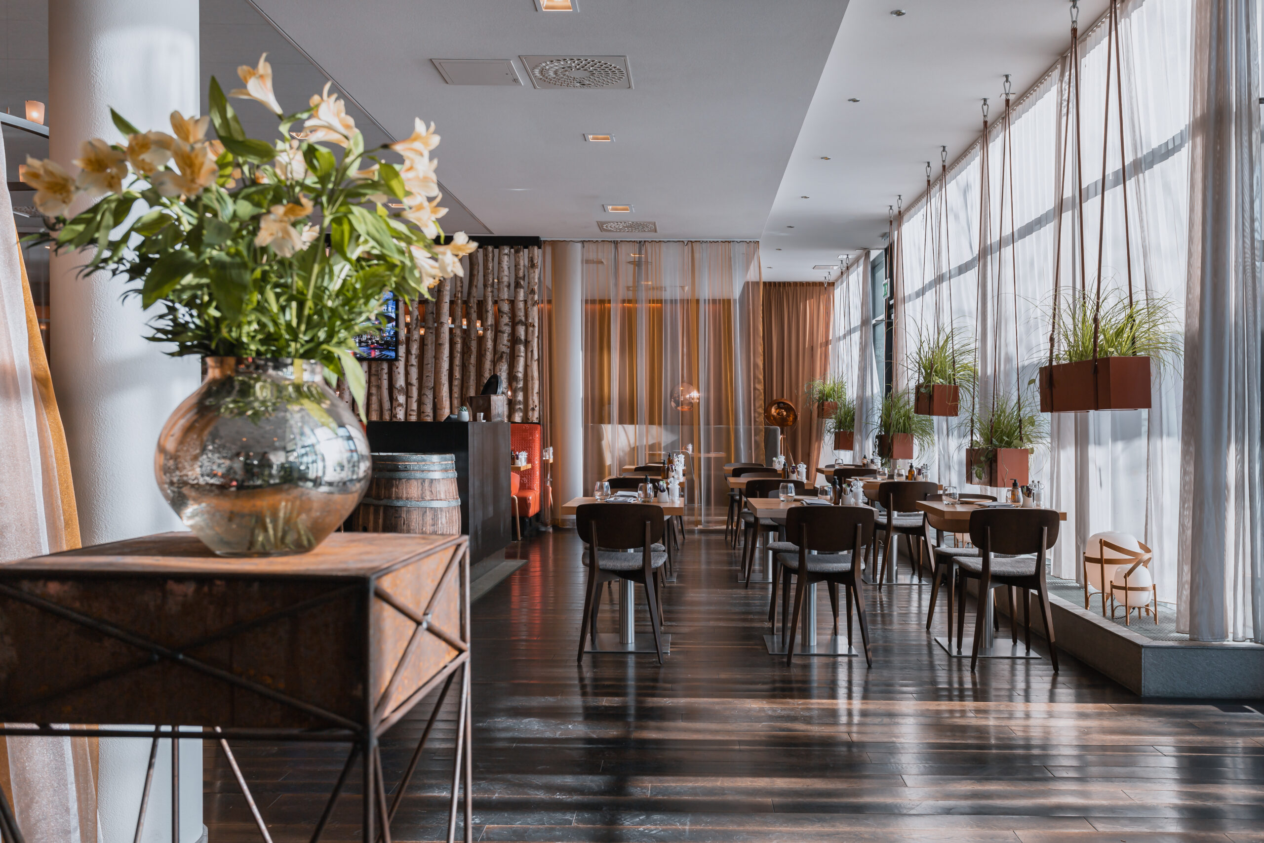 Soth's Kitchen - Soth's Kitchen